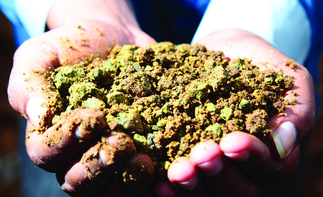 About Us - PT IFISHDECO Tbk.